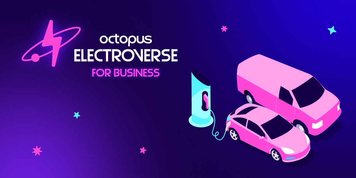 Electroverse for Business Sign up